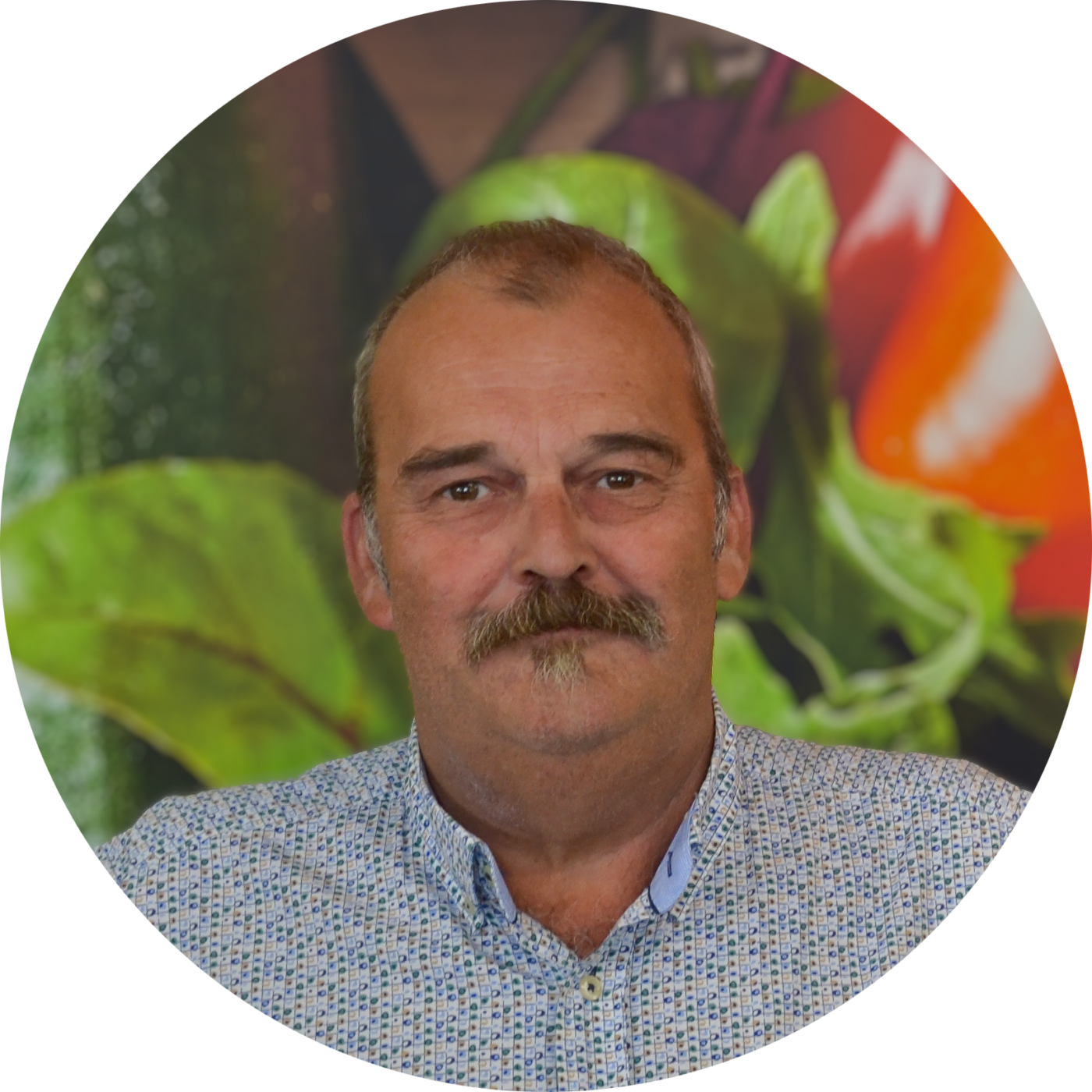 Venloer Transport - Weyers